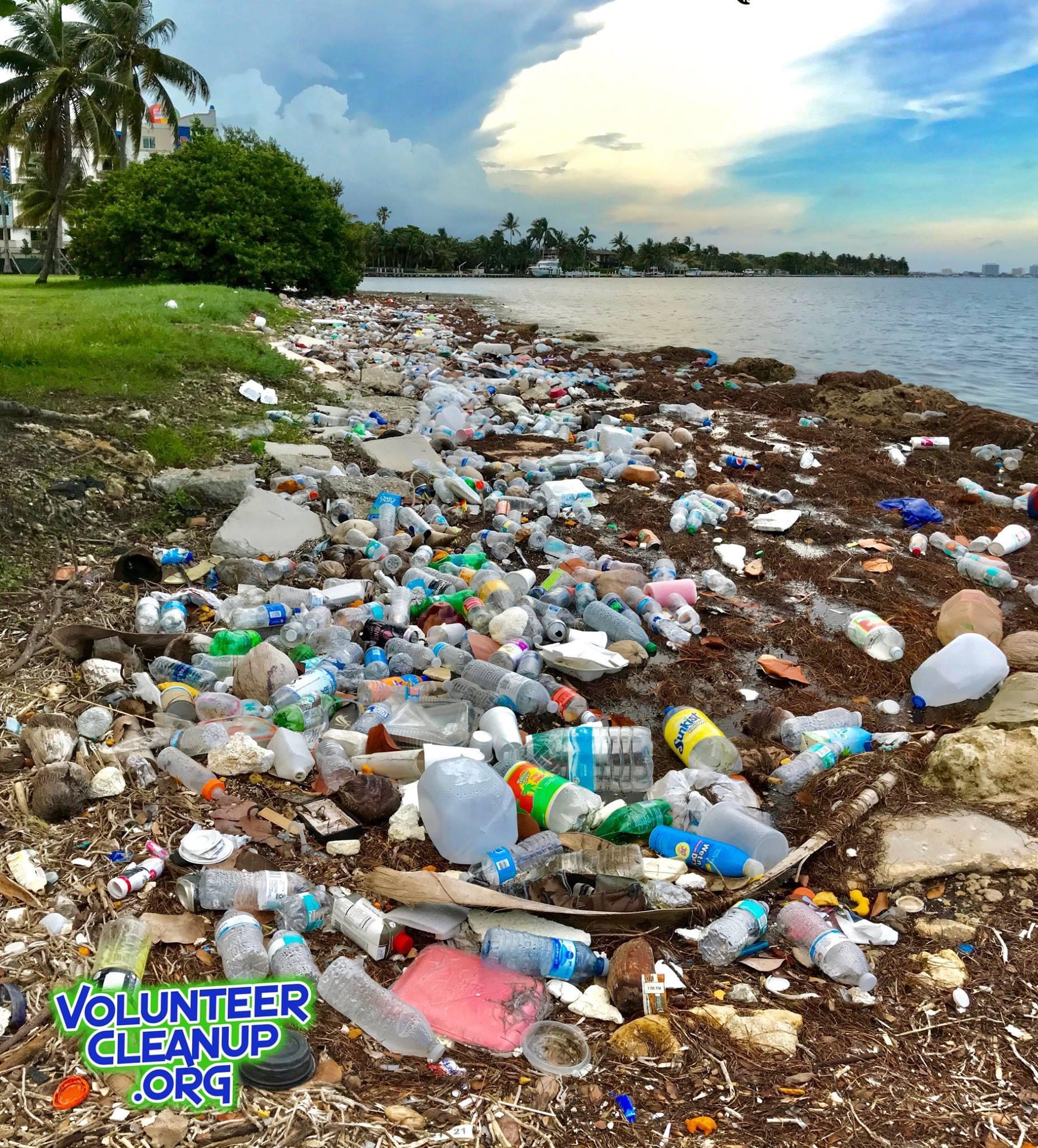 Plastic Free Florida – Empowering Floridians to take action on single ...