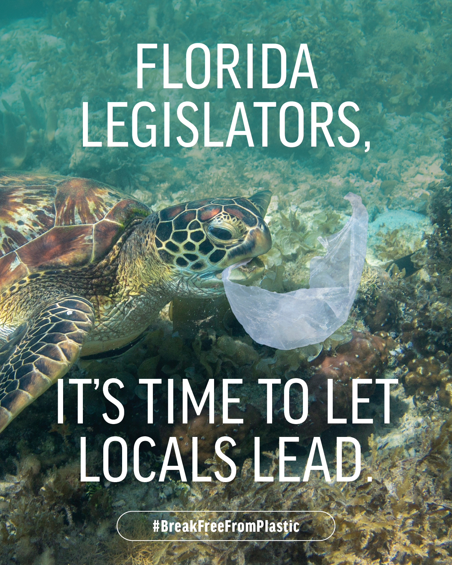 State – Plastic Free Florida